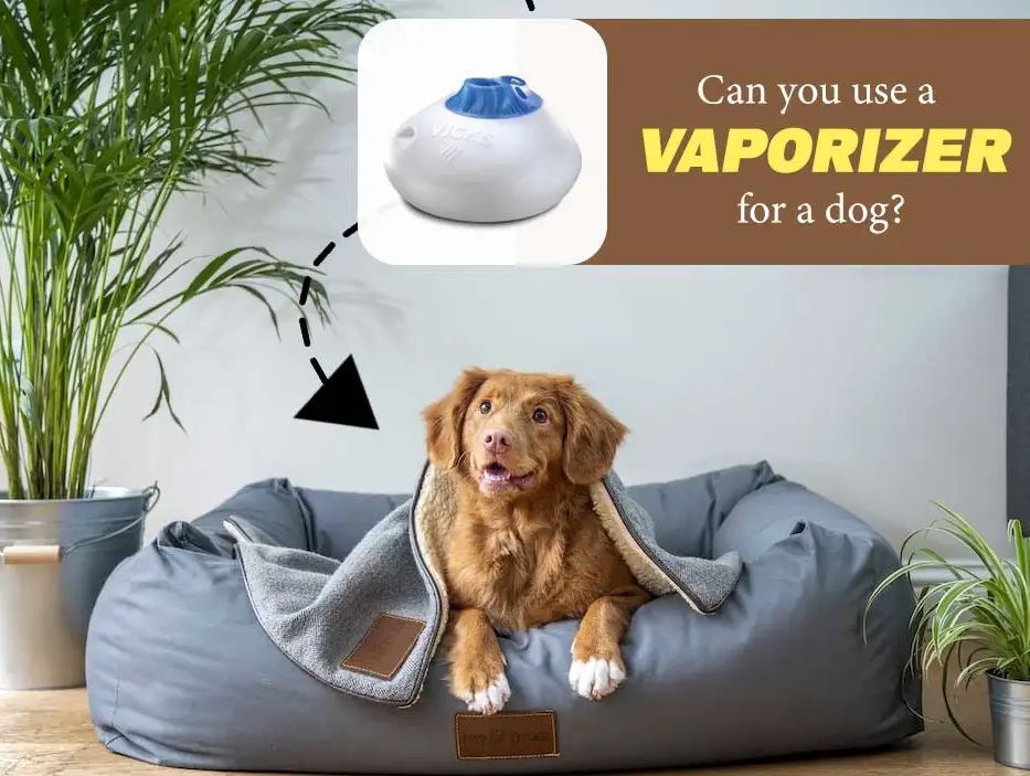 Are Vaporizers Good for Dogs, Cats, and Other Pets? [Are They Safe?]